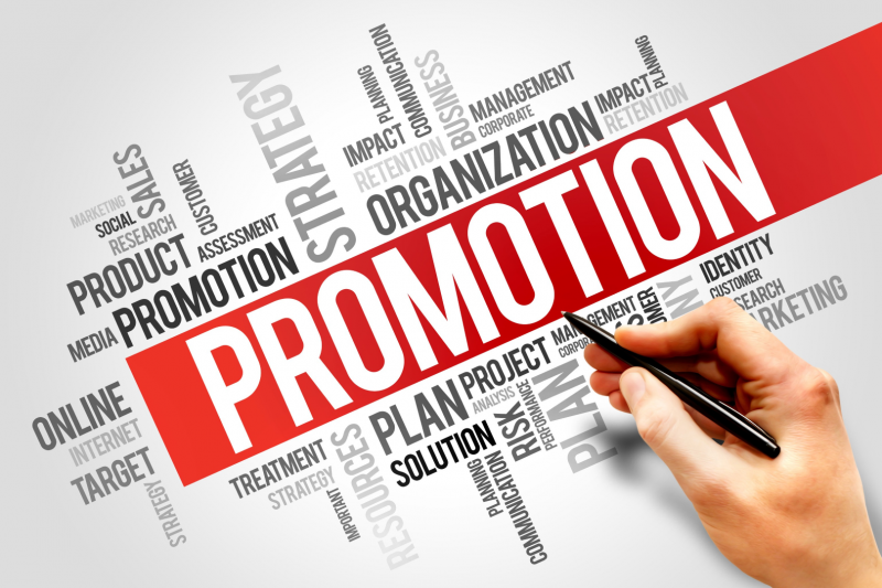 La campagne de promotion IDIM via la voie expérience/expertise est ...